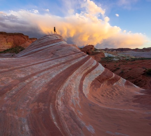 Meet Arsenal 2, the Intelligent Camera Assistant | Features