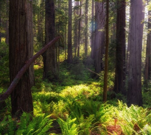 Meet Arsenal 2, the Intelligent Camera Assistant | Features