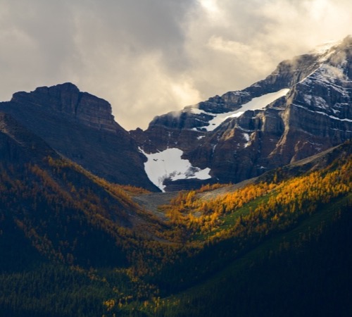 Meet Arsenal 2, the Intelligent Camera Assistant | Features