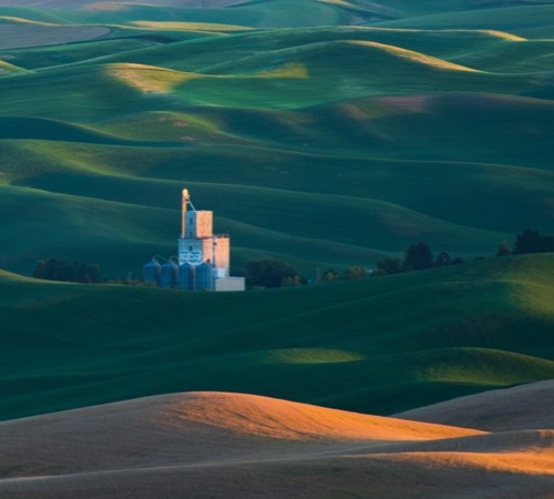 Meet Arsenal 2, the Intelligent Camera Assistant