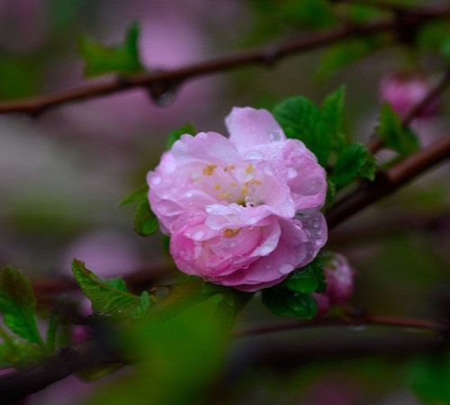 Meet Arsenal 2, the Intelligent Camera Assistant | Features